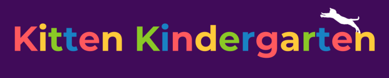 Kitten Kindergarten – Kitty Cat Academy